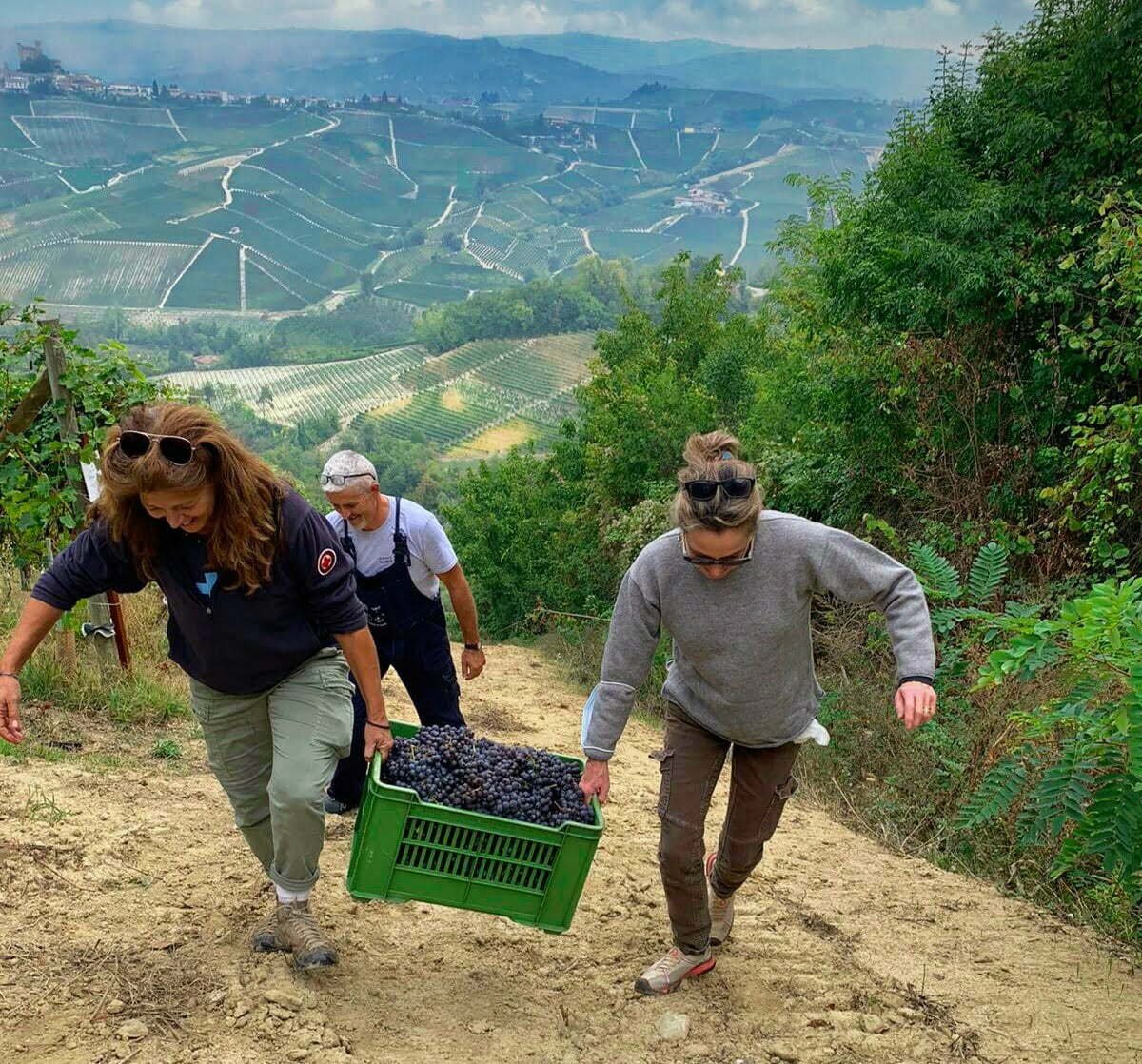 About Us | Food. Wine. Piedmont.